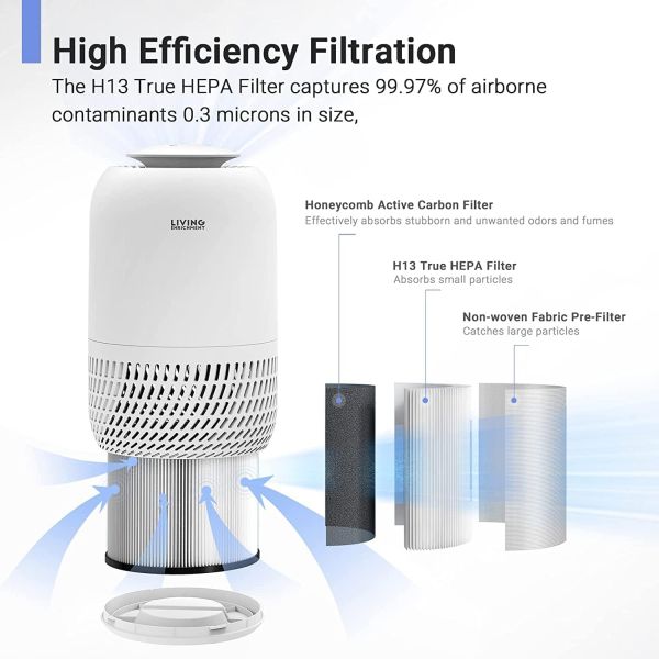 Large Room Air Purifier with True HEPA Filter, for Pet Hai Dander ...