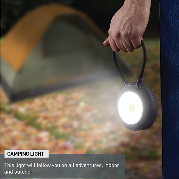 THIS LIGHT IS AWESOME! Extremely Versatile! Globe Electric Flexx ...